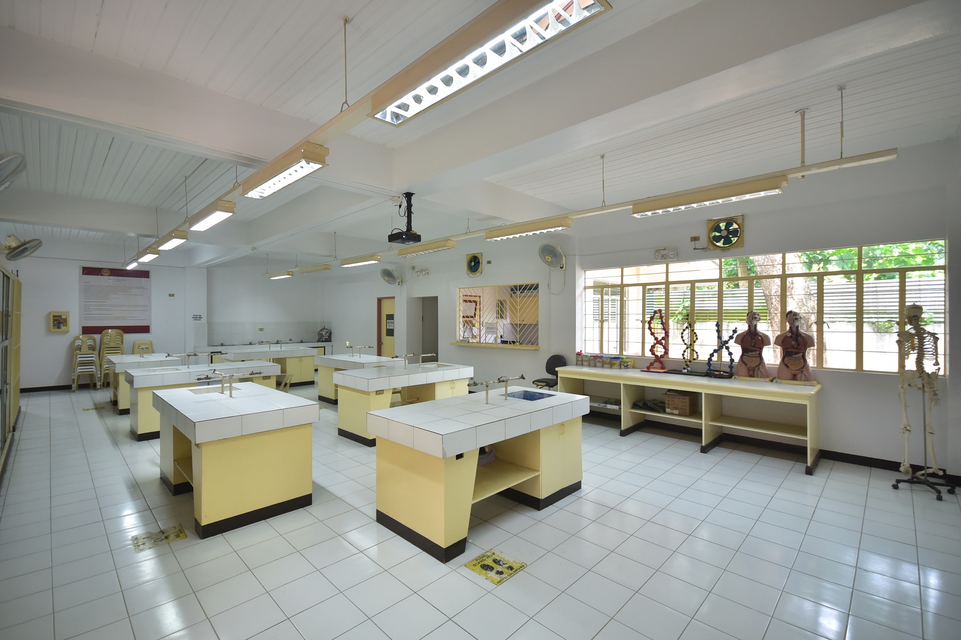 UM Digos College